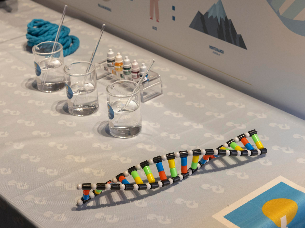 SPACE 33. DIFFERENT FROM WHO? - Trieste Next